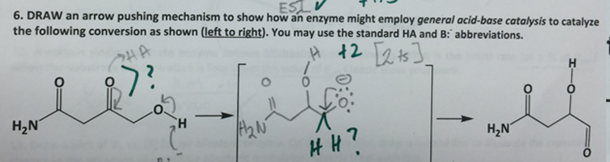 Solved Please explain the following. | Chegg.com Solved Please explain the following. | Chegg.com