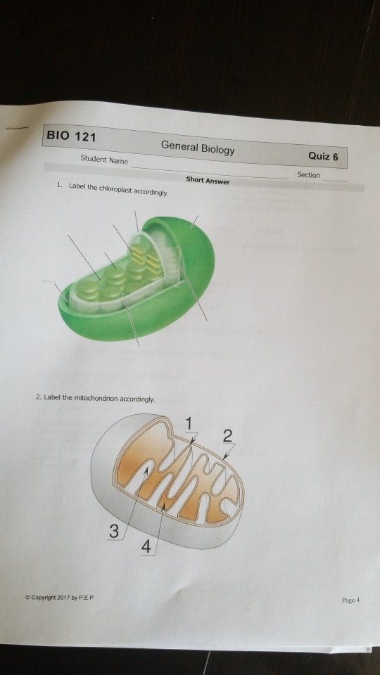 Solved BIO 121 General Biology Quiz 6 Student Name Section | Chegg.com