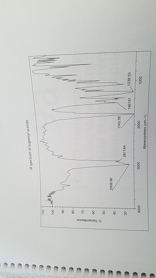 Solved IR spectrum of isopentyl acetate 110 100 70 1743.28 | Chegg.com