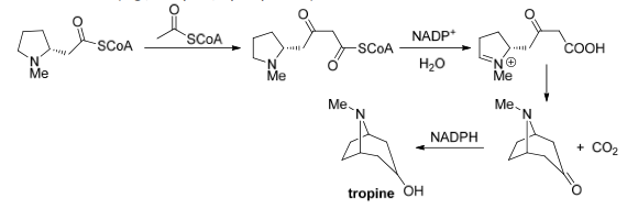 Solved Provide a complete curved-arrow mechanism for each | Chegg.com