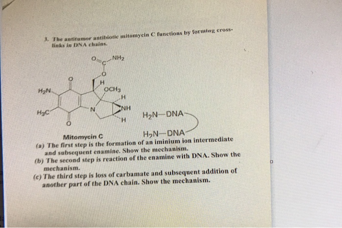 Solved The antitumor antibiotic mitomycin C functions by | Chegg.com