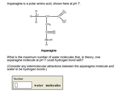 Solved 1) Asparagine is a polar amino acid, shown here at pH | Chegg.com