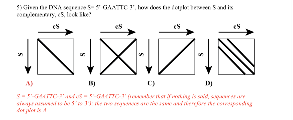 Solved Given the DNA sequence S = 5' -GAATTC - 3', how does | Chegg.com