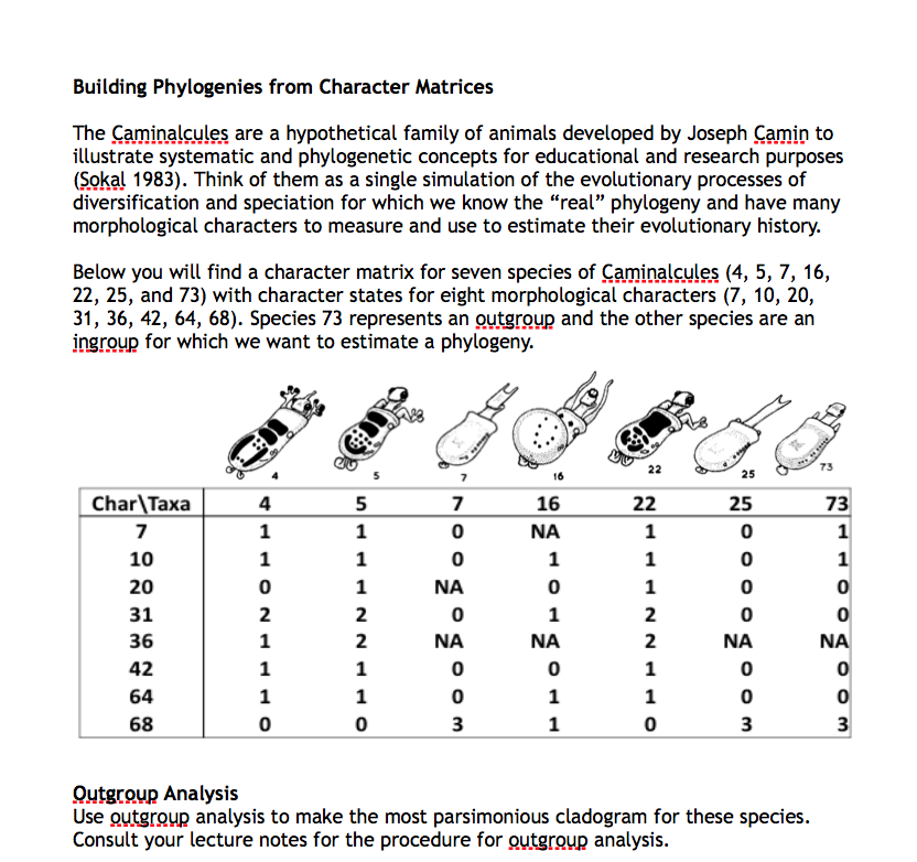 Building Phylogenies from Character Matrices The | Chegg.com