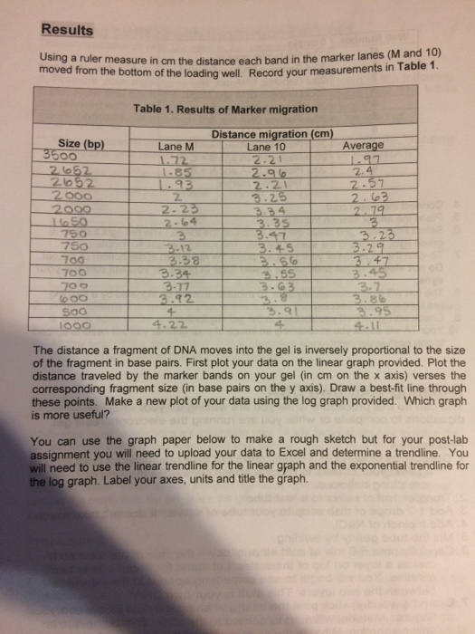 Solved Based on the data given map all the restriction sites | Chegg.com