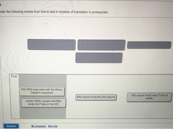 Solved The following events from first to last in initiation | Chegg.com
