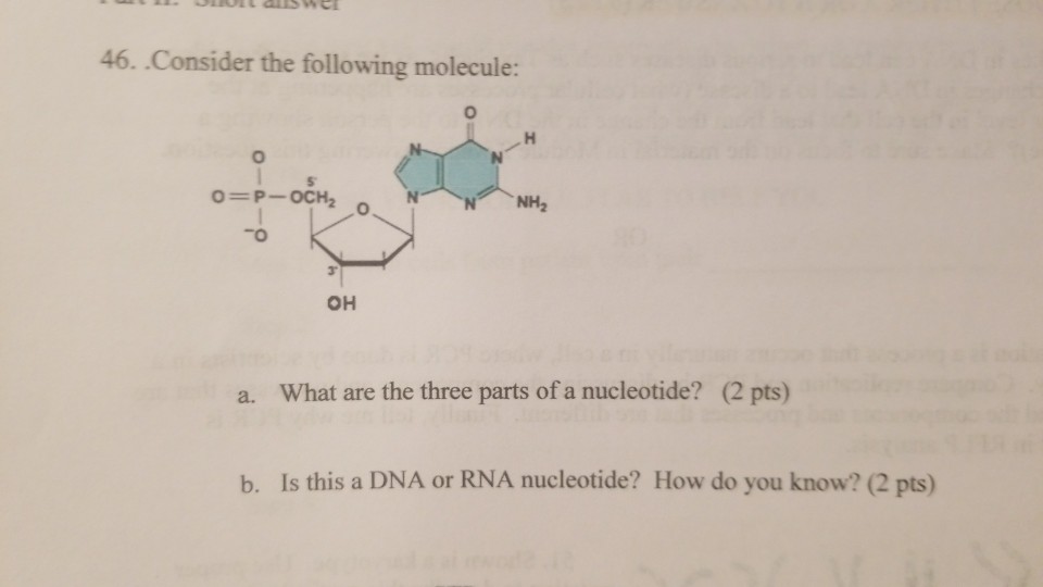 Solved Wel 46. Consider the following molecule: 5 NH2 TO OH | Chegg.com
