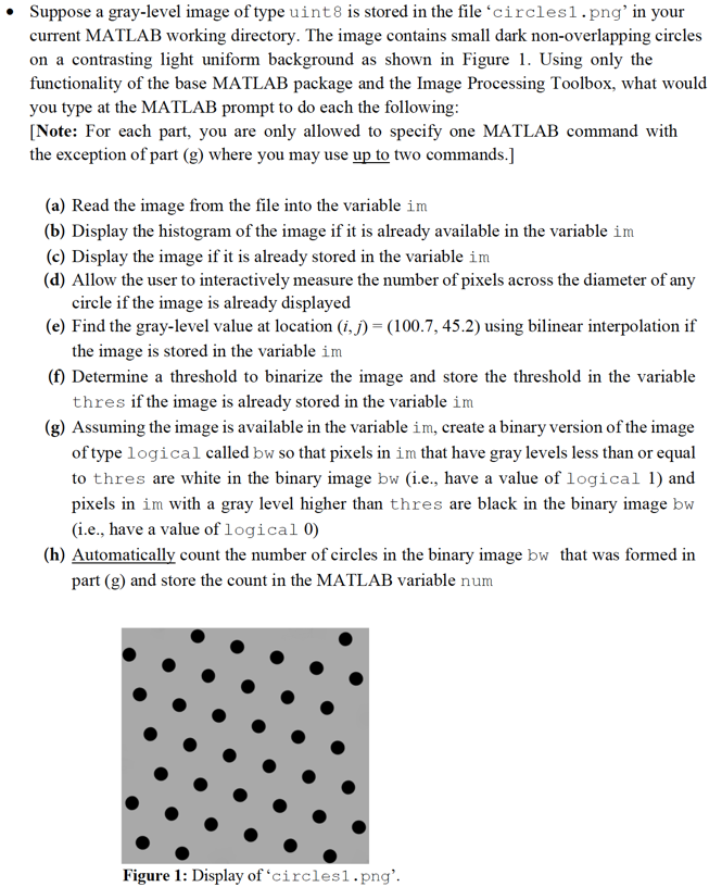 Solved Suppose a gray-level image of type uint8 is stored in | Chegg.com