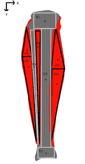 1. A frontal plane MRI of a human shank (lower leg) | Chegg.com
