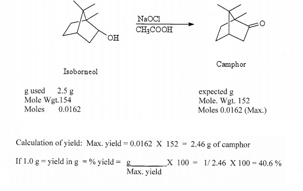 Solved Oxidation of isoborneol to camphor. If 1.0 g = | Chegg.com