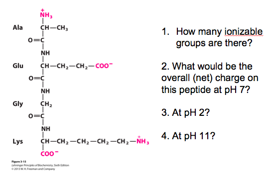 Solved How many ionizable groups are there? What would be | Chegg.com