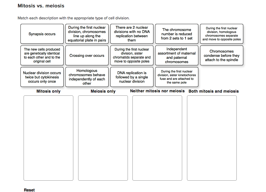 Solved Mitosis vs. meiosis Match each description with the | Chegg.com
