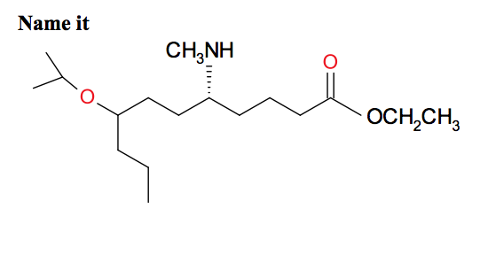 Solved Name it CH3NH OCH2CH3 | Chegg.com
