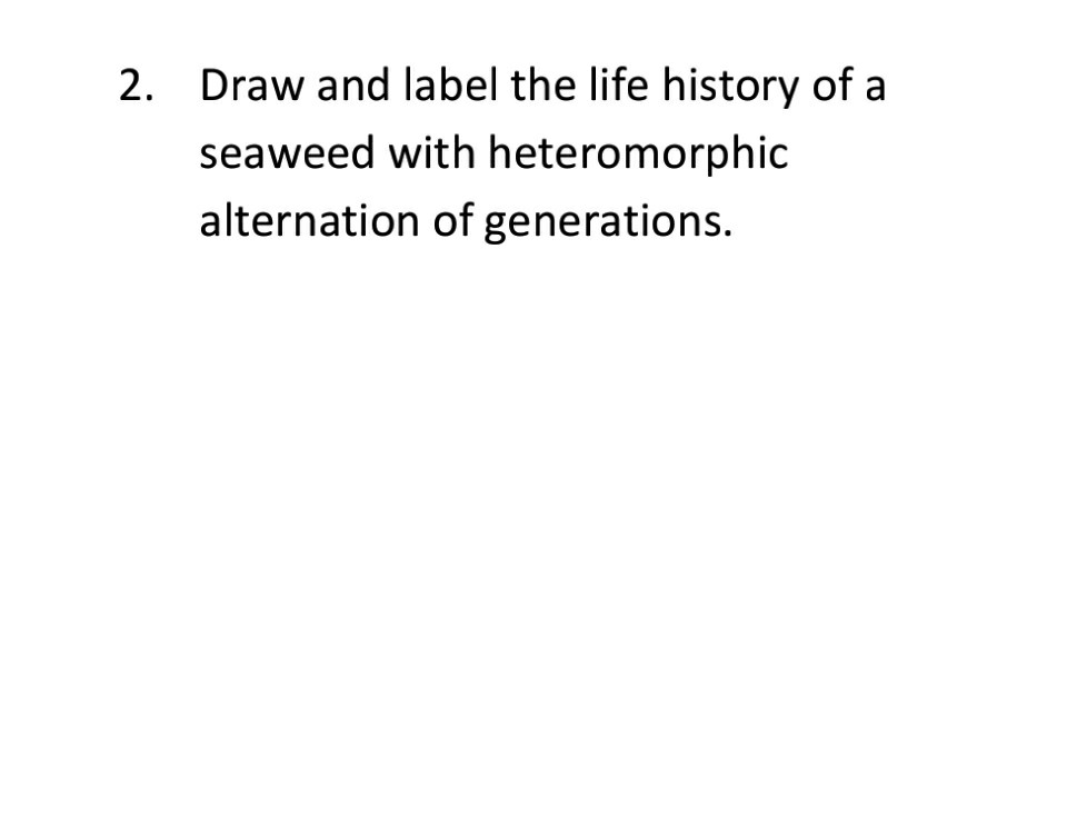 Solved Draw and label the life history of a seaweed with | Chegg.com