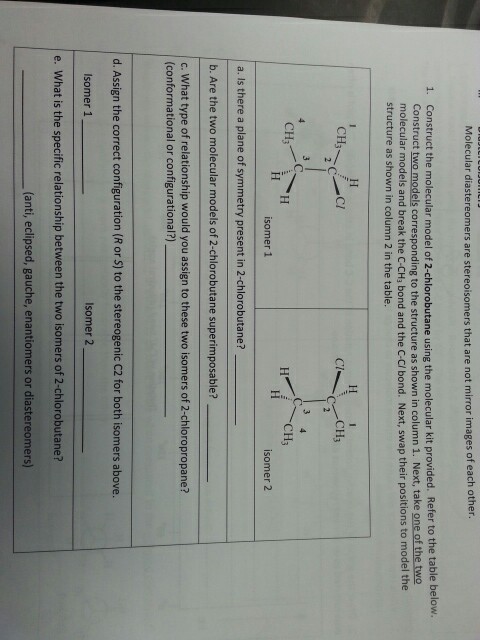 Solved Construct the molecular model of 2-chlorobutane using | Chegg.com