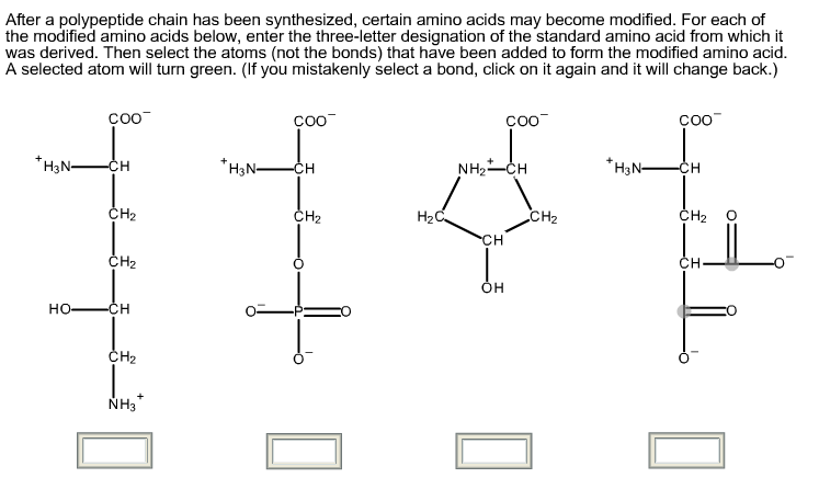 Solved After a polypeptide chain has been synthesized, | Chegg.com