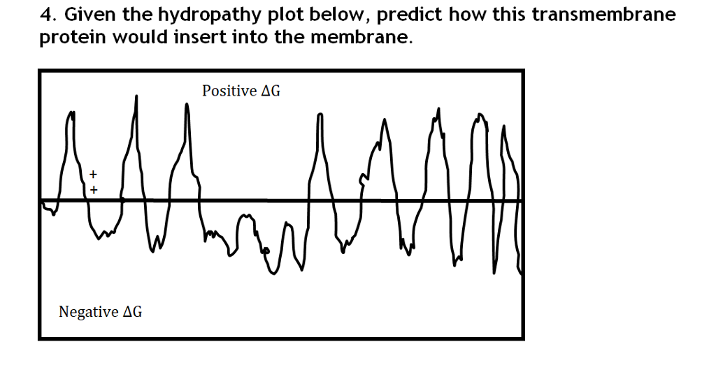 Solved 4 Given The Hydropathy Plot Below Predict How This Chegg