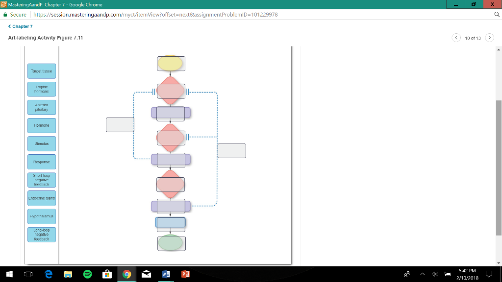 Drag The Labels Onto The Diagram To Identify The Steps In Complex ...