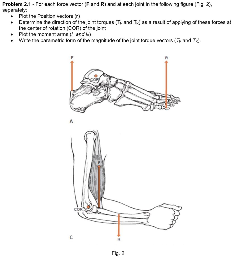 Solved For each force vector (F and R) and at each joint in | Chegg.com