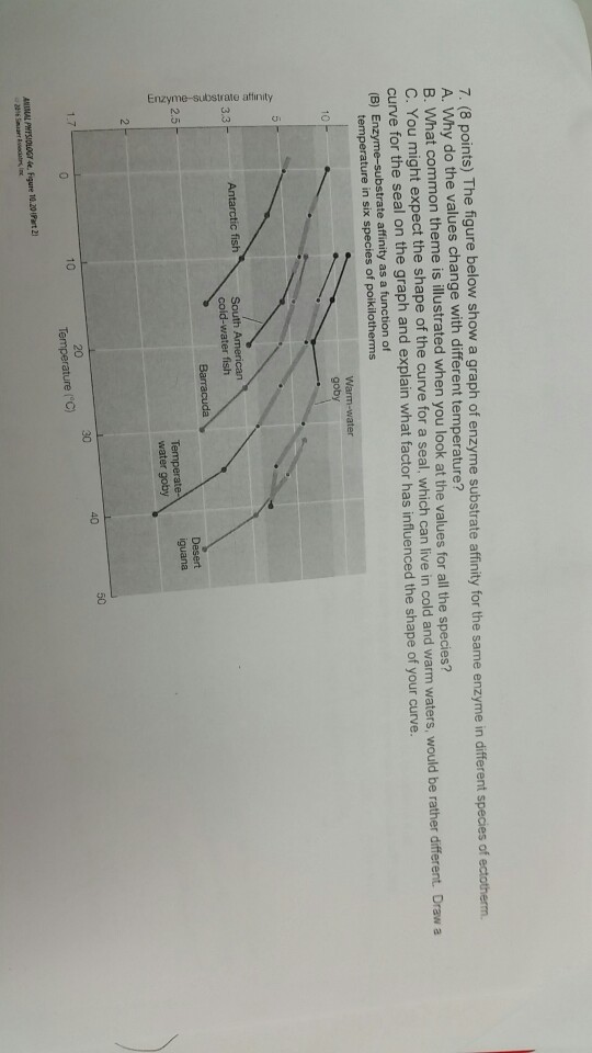 Solved (8 points) The figure below show a graph of enzyme | Chegg.com