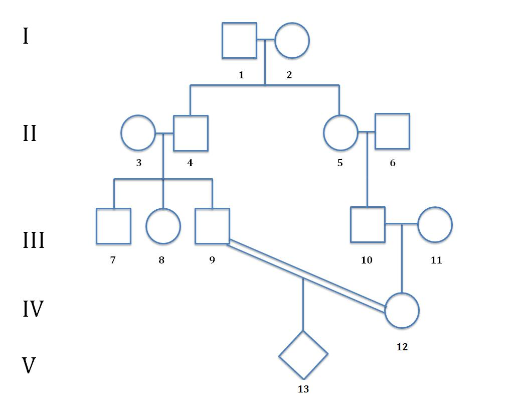 Solved The pedigree shown below depicts crosses performed as | Chegg.com