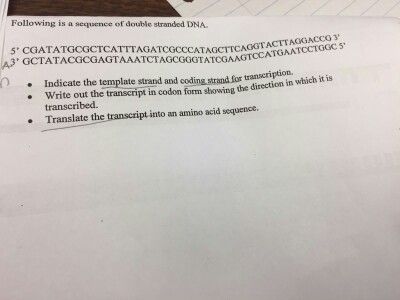 Solved Following is a sequence of double standard DNA, | Chegg.com