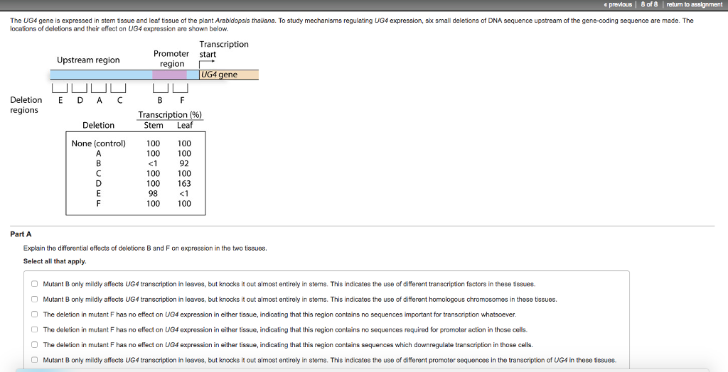 Solved x previous 8 of8 return to assignment The UG4 gene is | Chegg.com