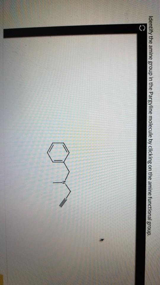 Solved molecule by clicking on the amine functional group. | Chegg.com
