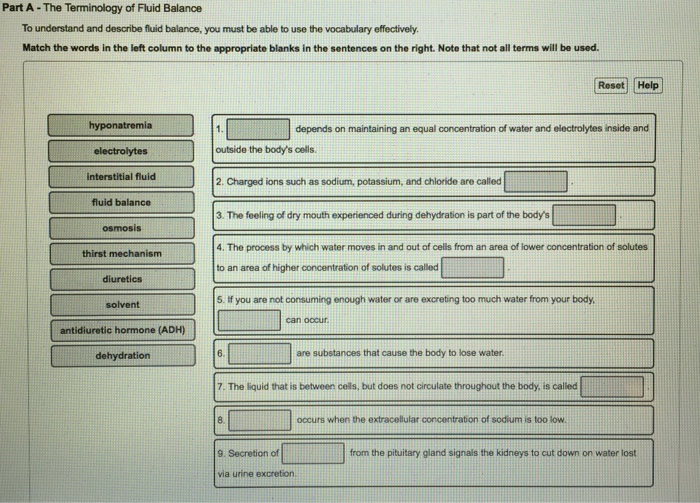 Solved Part A-The Terminology of Fluid Balance To understand | Chegg.com