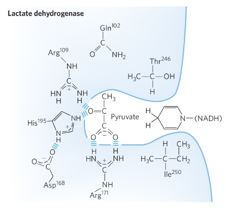 Solved In the following problem, please draw out the | Chegg.com