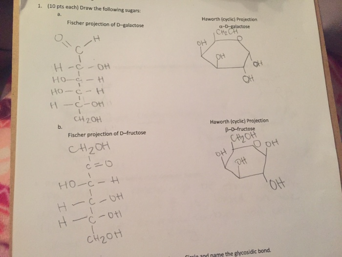 Solved 1. (10 pts each) Draw the following sugars: Fischer | Chegg.com