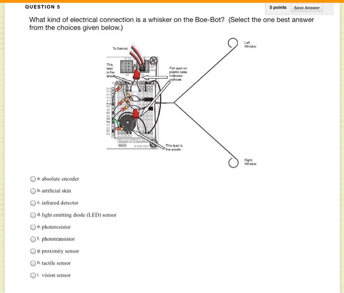 Solved What kind of electrical connection is a whisker on | Chegg.com