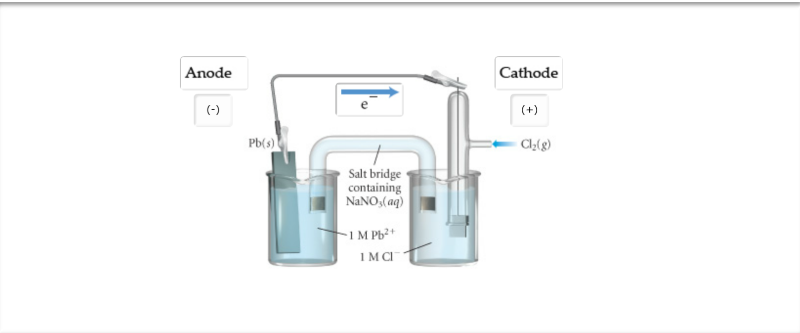 Solved Anode Cathode Pb(s) C2(g) Salt bridge containing NaNO | Chegg.com