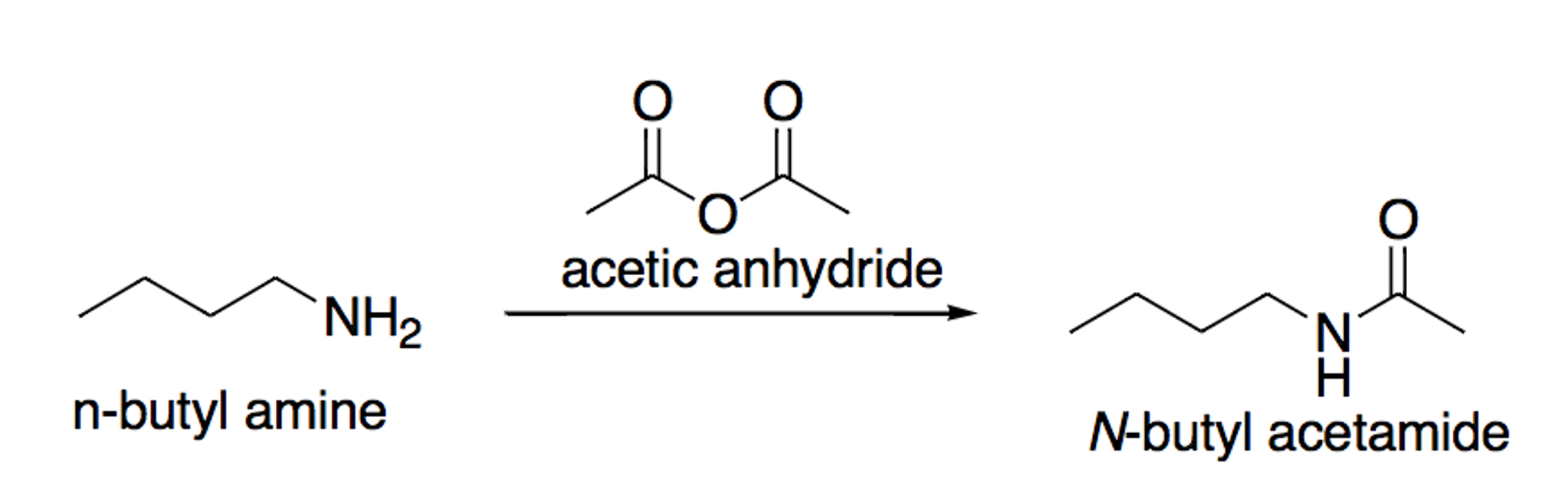 Solved A student acetylated n-butylamine with acetic | Chegg.com