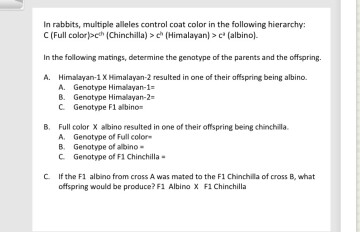 Solved In rabbits, multiple alleles control coat color in | Chegg.com