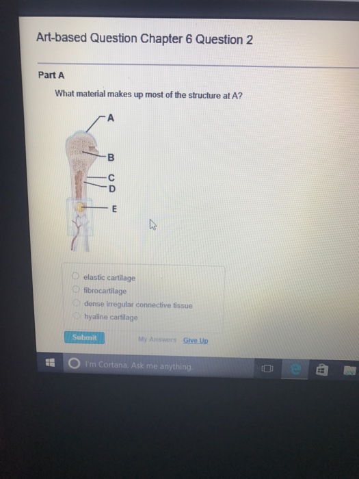 Solved What material makes up most of the structure at A? | Chegg.com