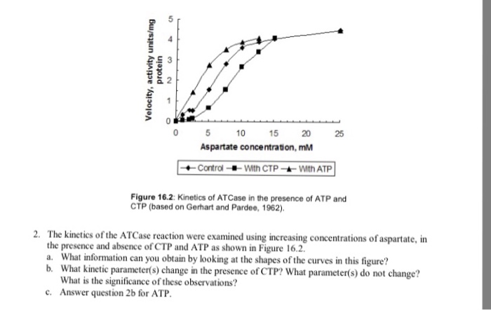 Solved The kinetics Of the ATCase reaction were examined | Chegg.com