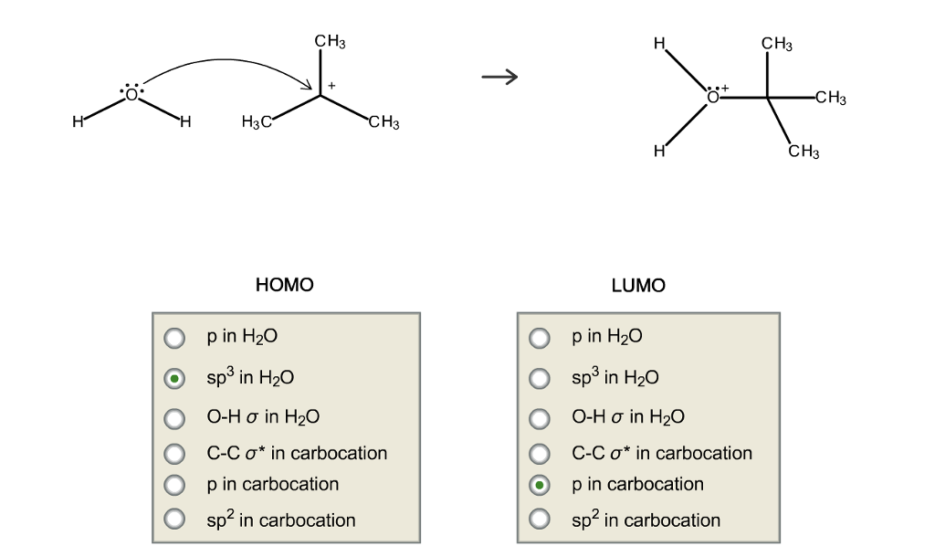 Solved CH3 CH3 CH3 HOMO LUMO O p in H20 sp3 in H20 O-H σ in | Chegg.com