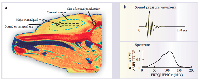 Solved Question | Chegg.com