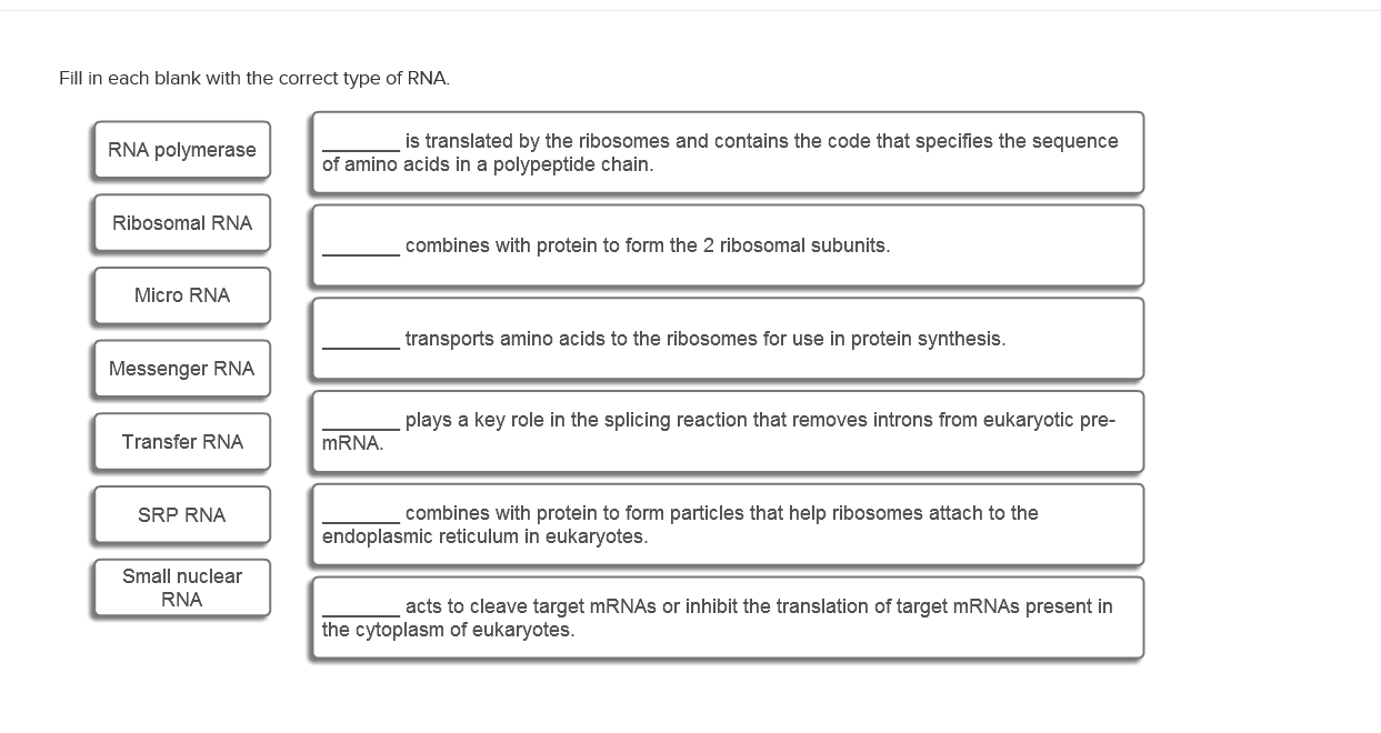 Solved Fill in each blank with the correct type of RNA. is | Chegg.com