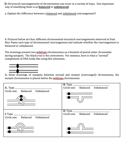 Solved Structural rearrangements of chromosomes can occur in | Chegg.com