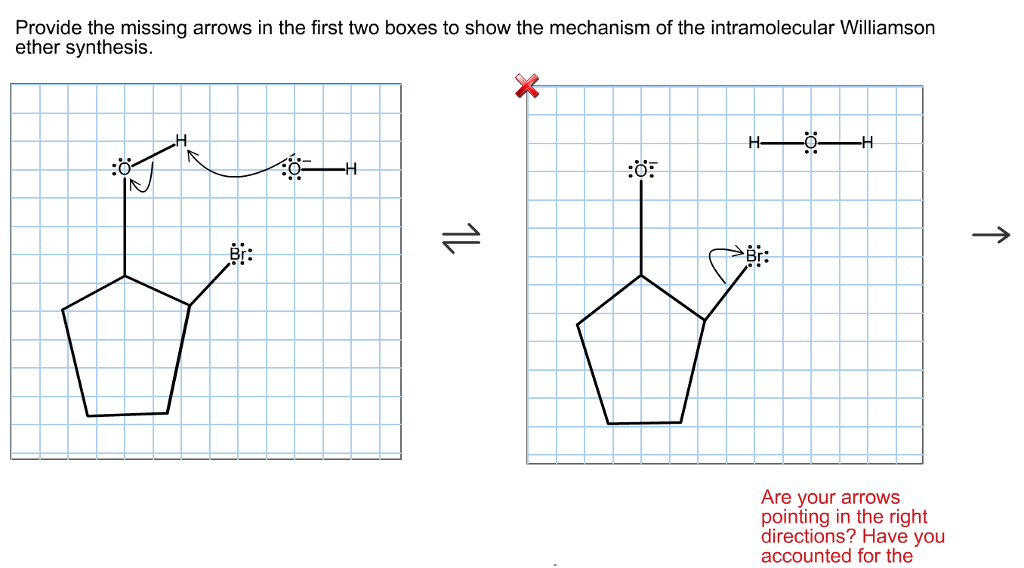 Solved Provide the missing arrows in the first two boxes to | Chegg.com