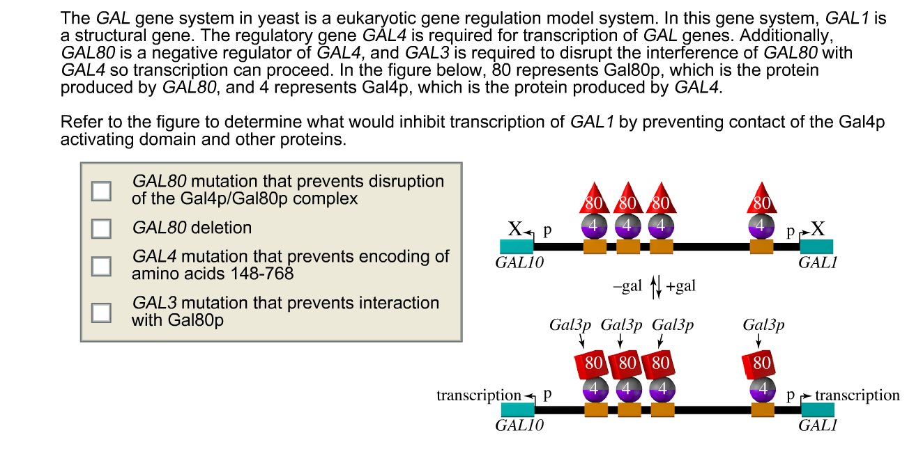 Solved The GAL gene system in yeast is a eukaryotic gene | Chegg.com