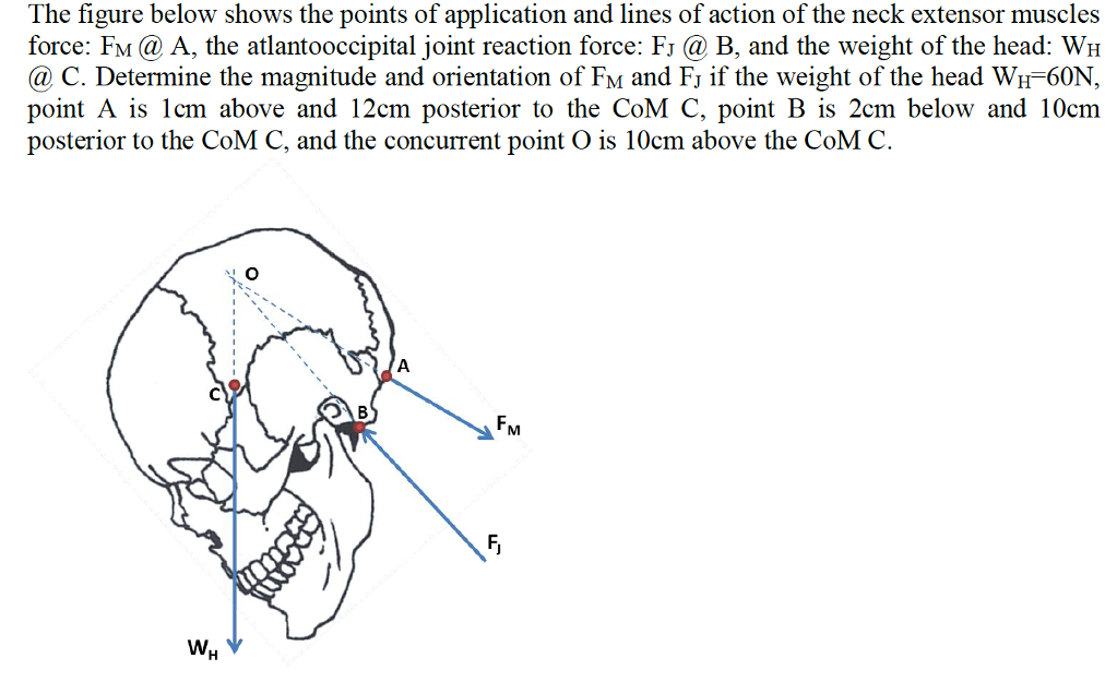 Solved The figure below shows the points of application and | Chegg.com