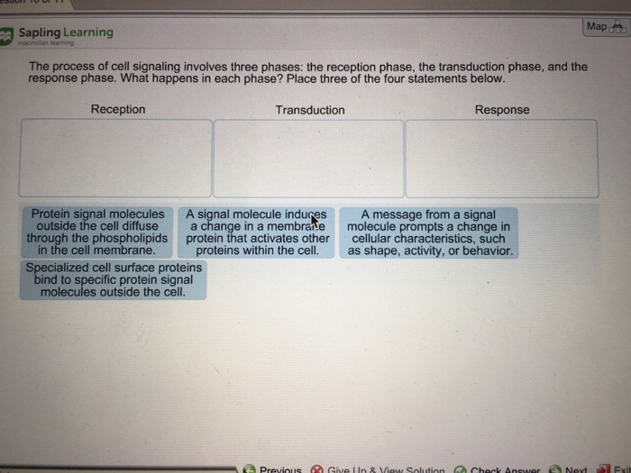 Solved The process of cell signaling involves three phases: | Chegg.com