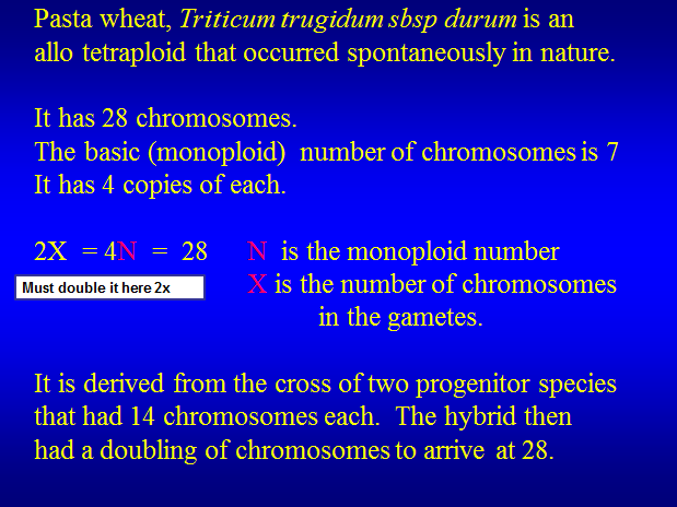 Solved n is the basic number of chromosomes In humans 2n- 46 | Chegg.com