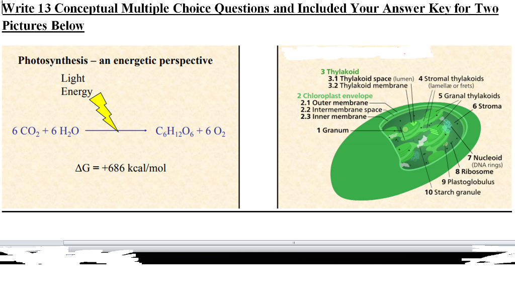Solved Note: Write 13 Conceptual Multiple Choice Questions | Chegg.com