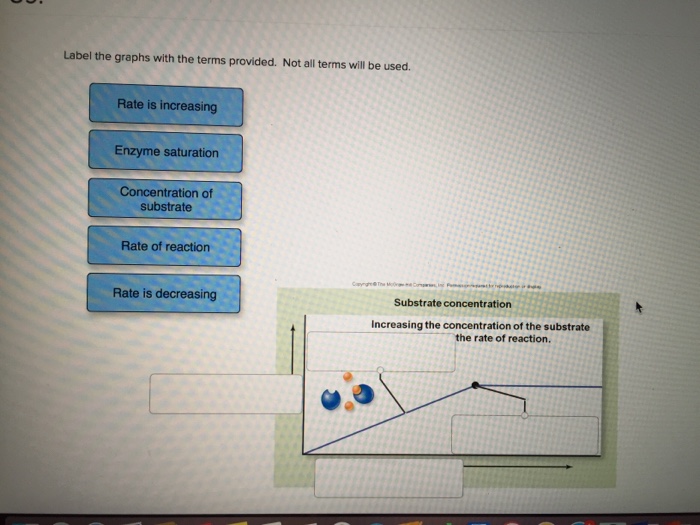 Label the graph with the terms provided. Not all | Chegg.com