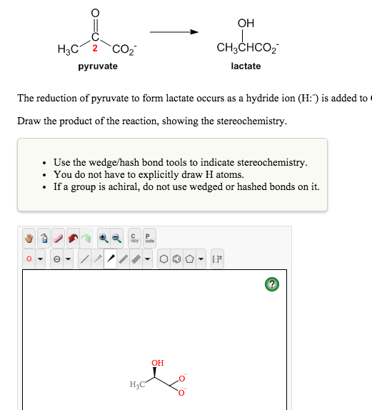 Solved The reduction of pyruvate to form lactate occurs as a | Chegg.com