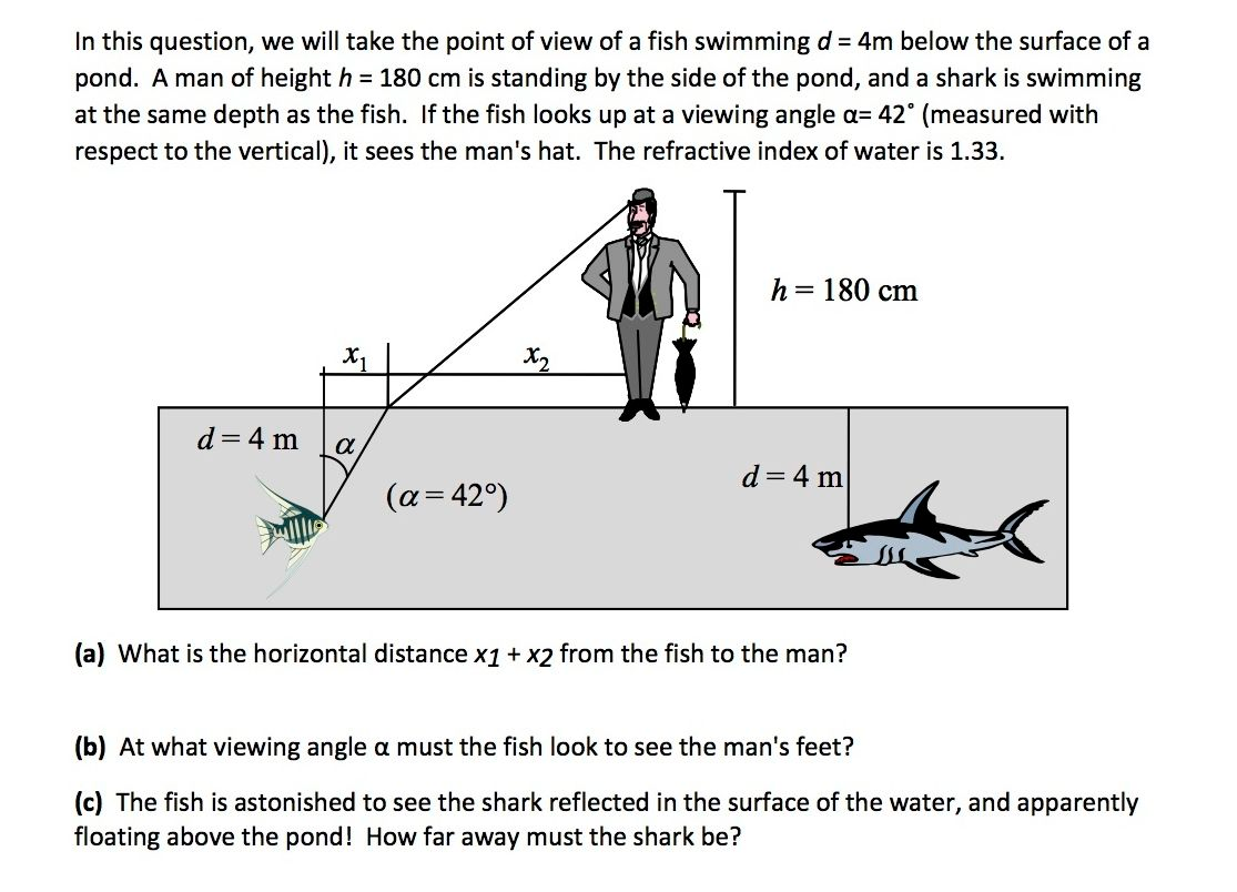 Solved In this question, we will take the point of view of a | Chegg.com